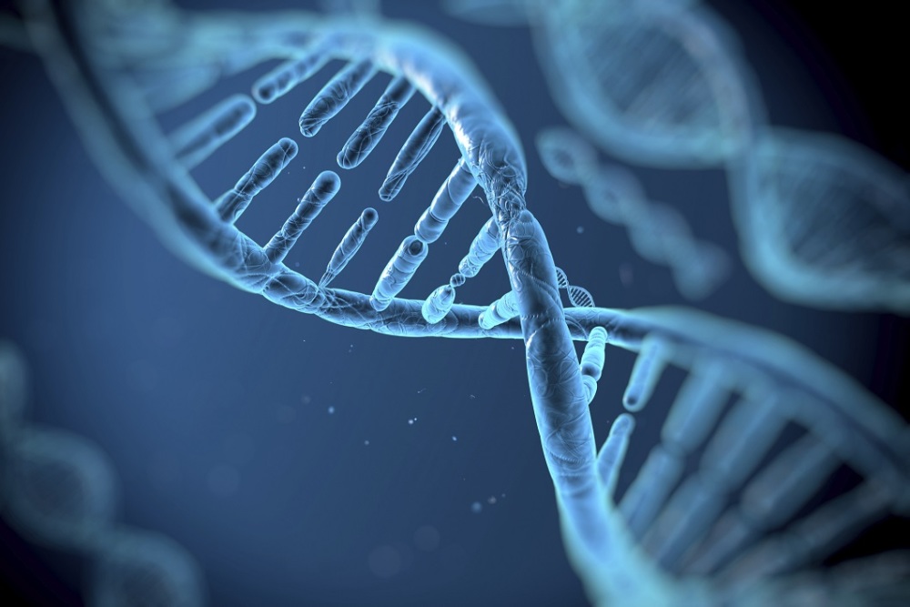 Fant samtalen som finner sted i menneskets DNA