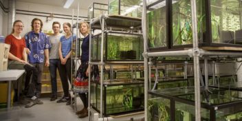 Oppvarming av kloden går raskere enn evolusjonen