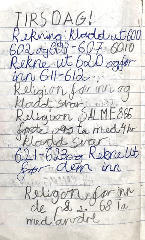 Er lekser egentlig nyttig og nødvendig?